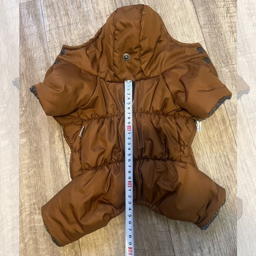 Одежда для собак на мальчика