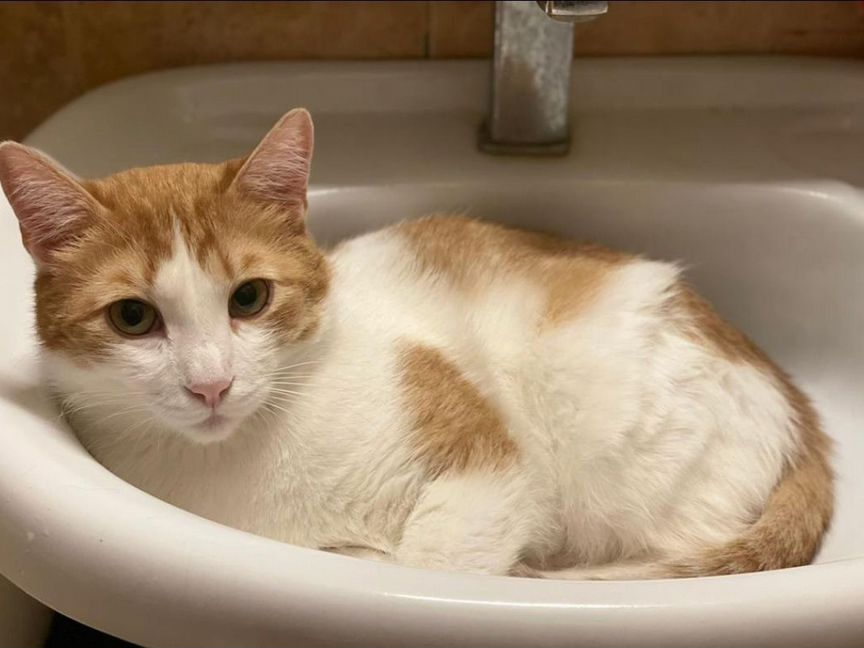 Маркус пережил ад и хочет любви