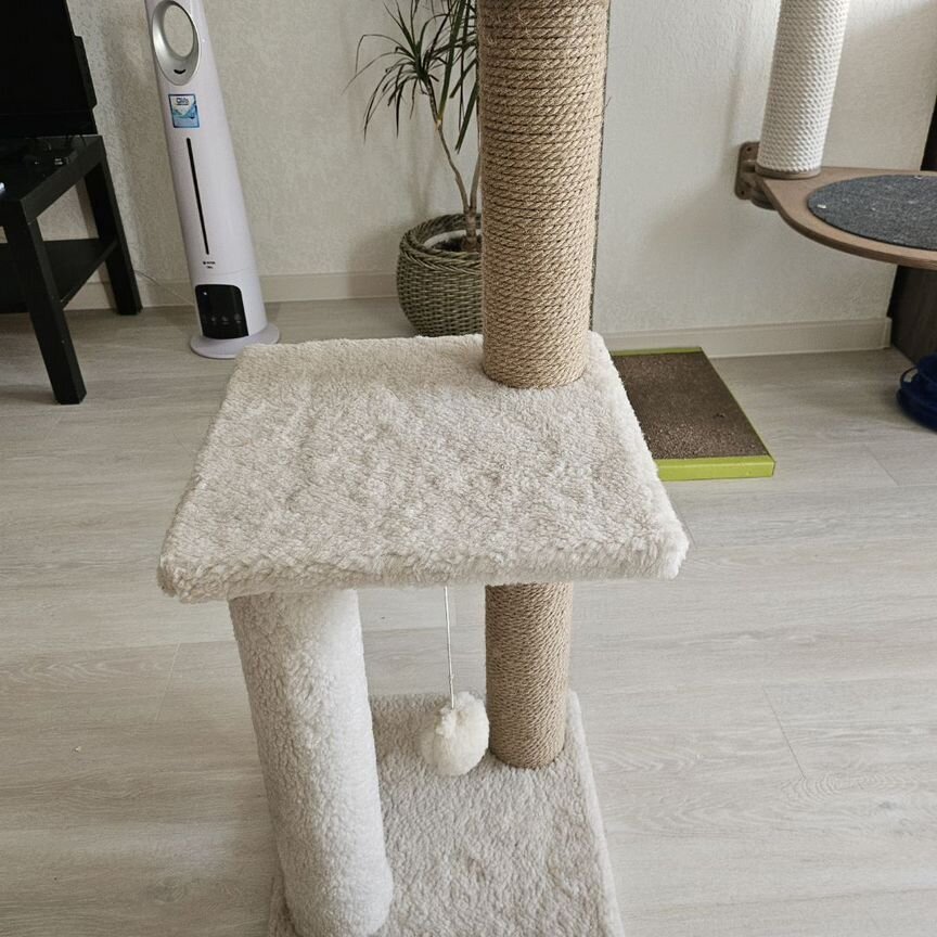 Когтеточка