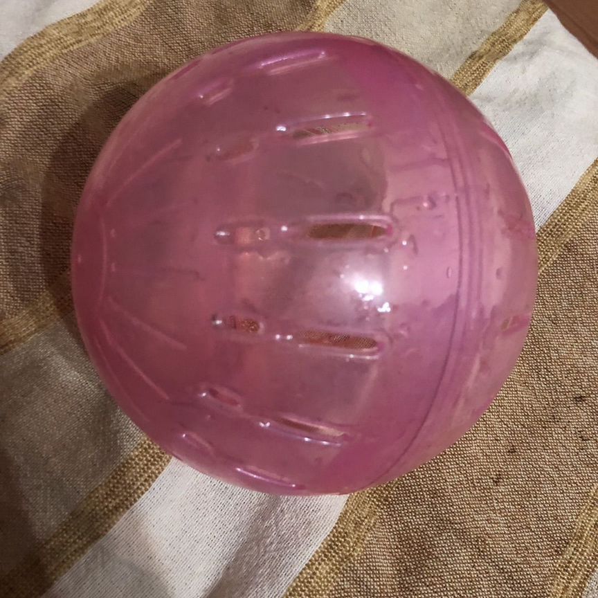 Беговой круг для хомяка