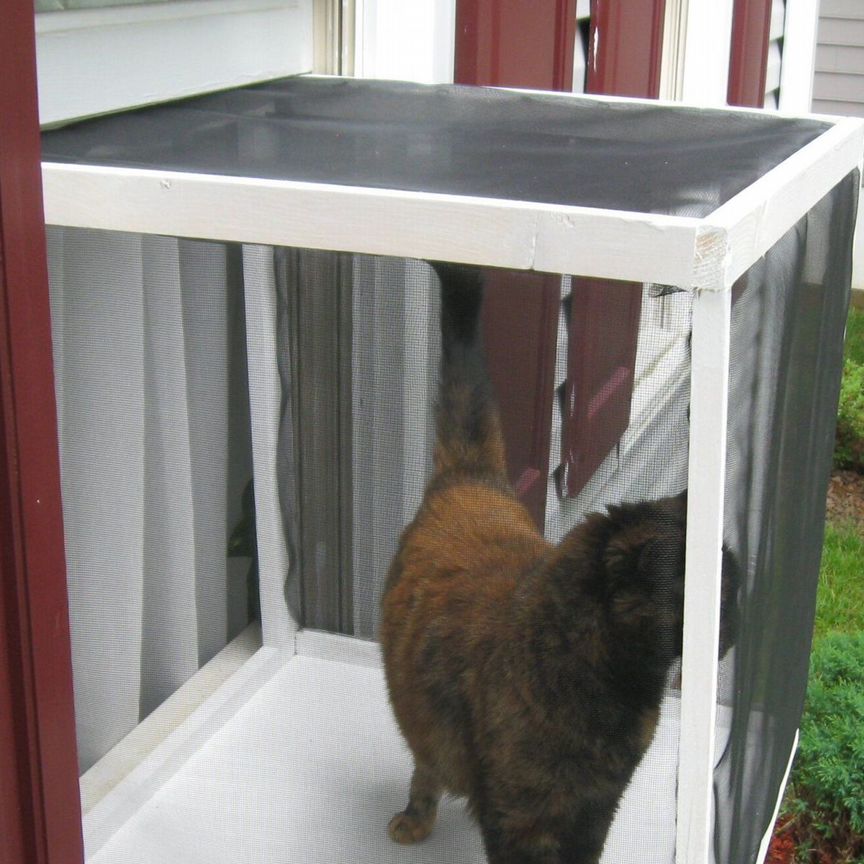Вольер для кошек