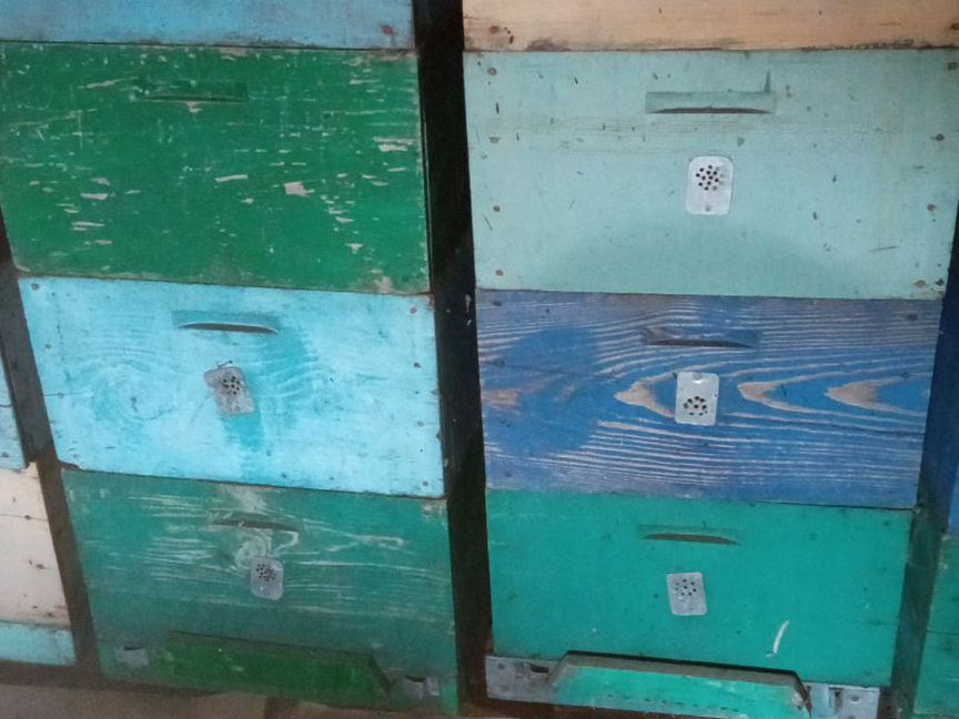 Ульи для пчел