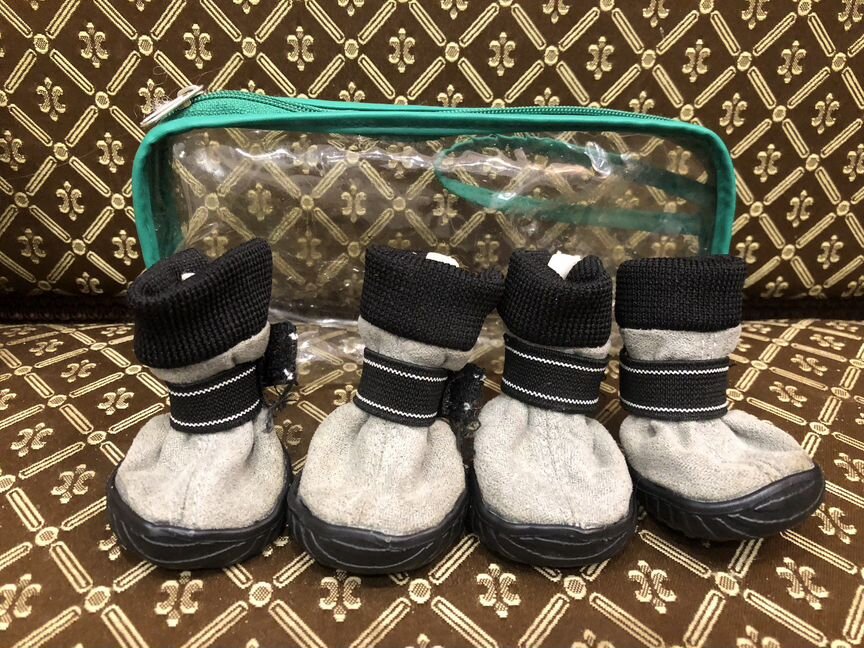 Ботинки для маленьких собак