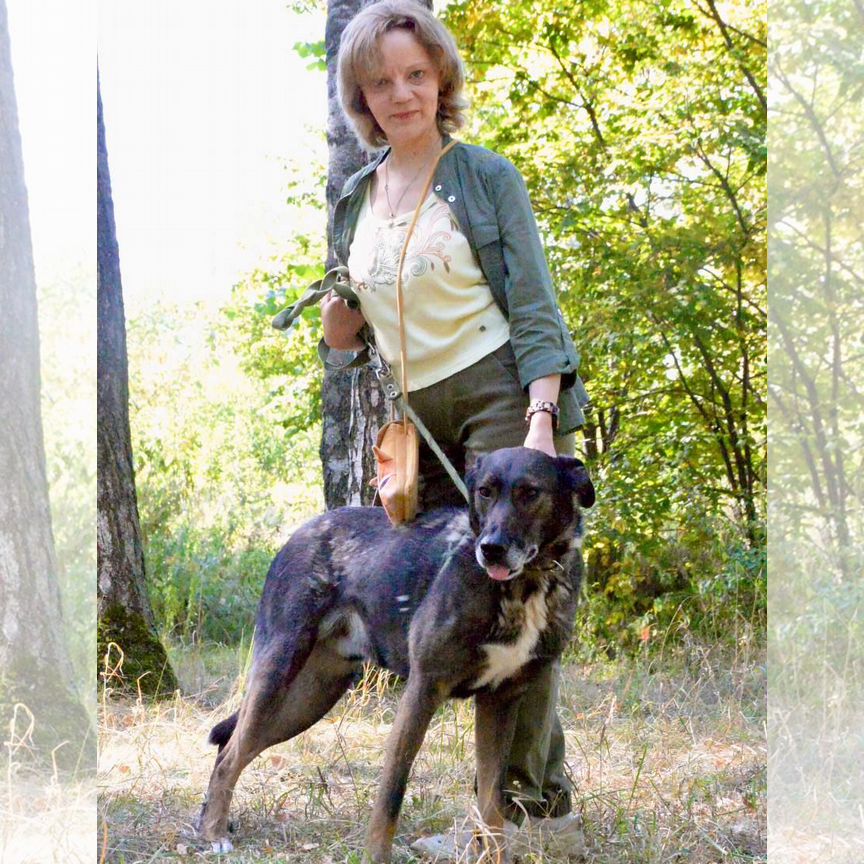 Большой пес с добрым характером