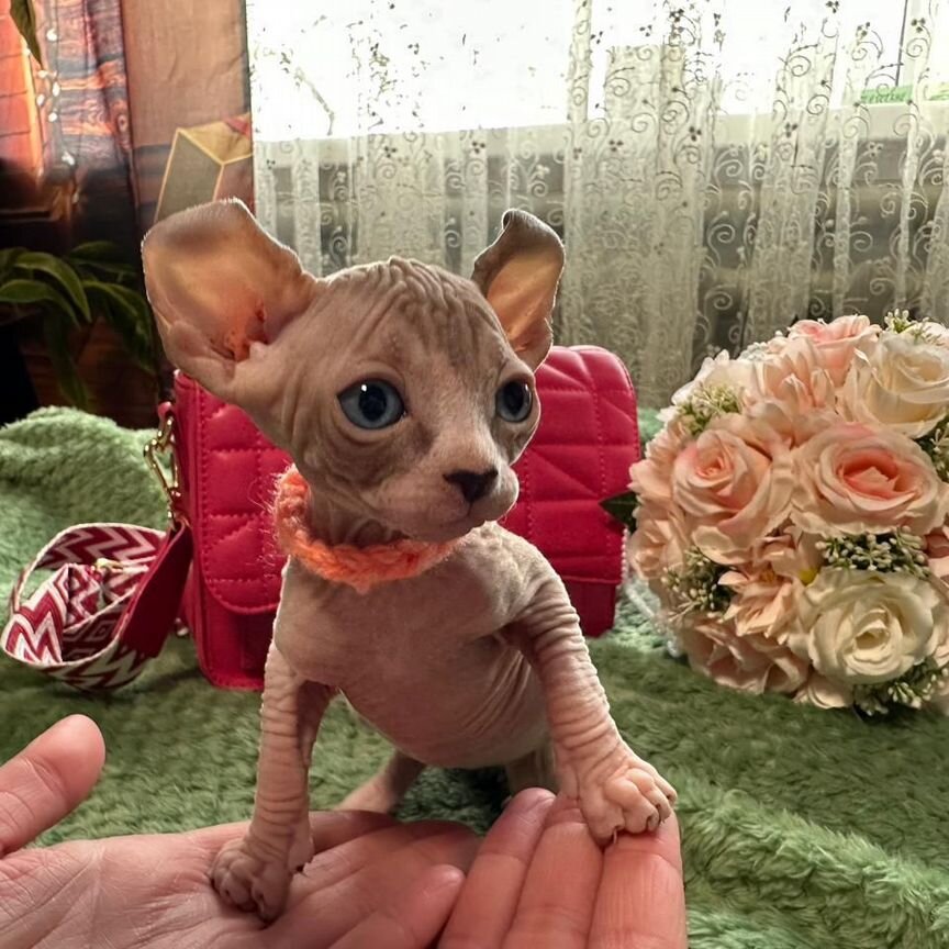 Эльфики