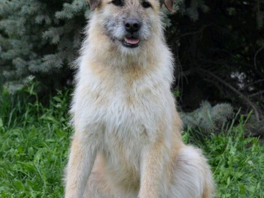 Злата ищет дом