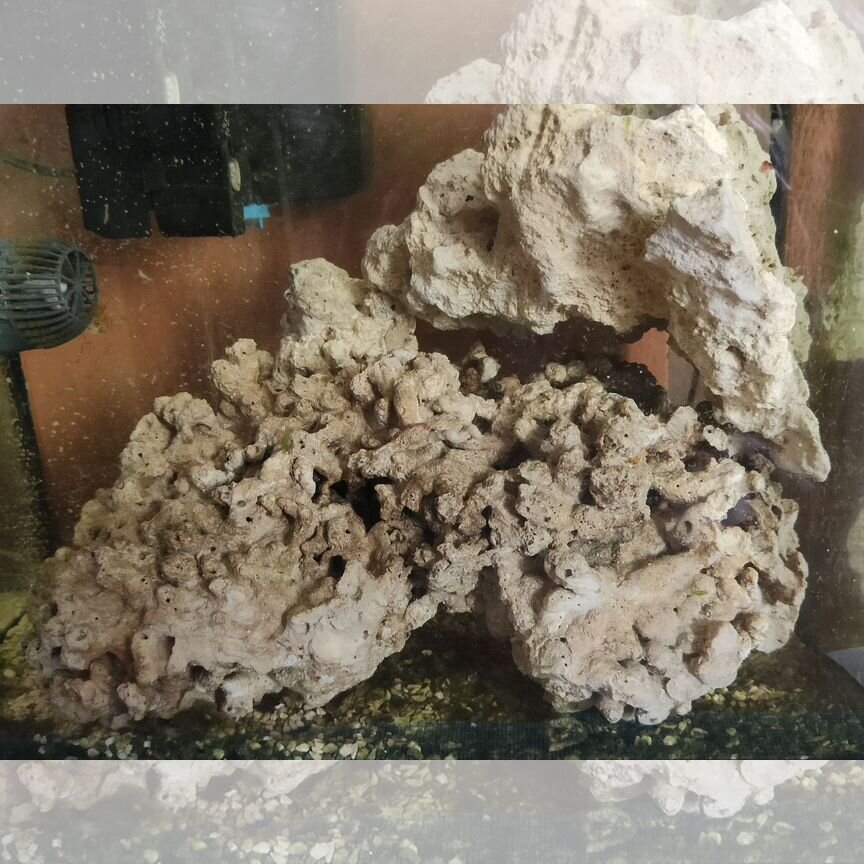 Живые камни в аквариум морской