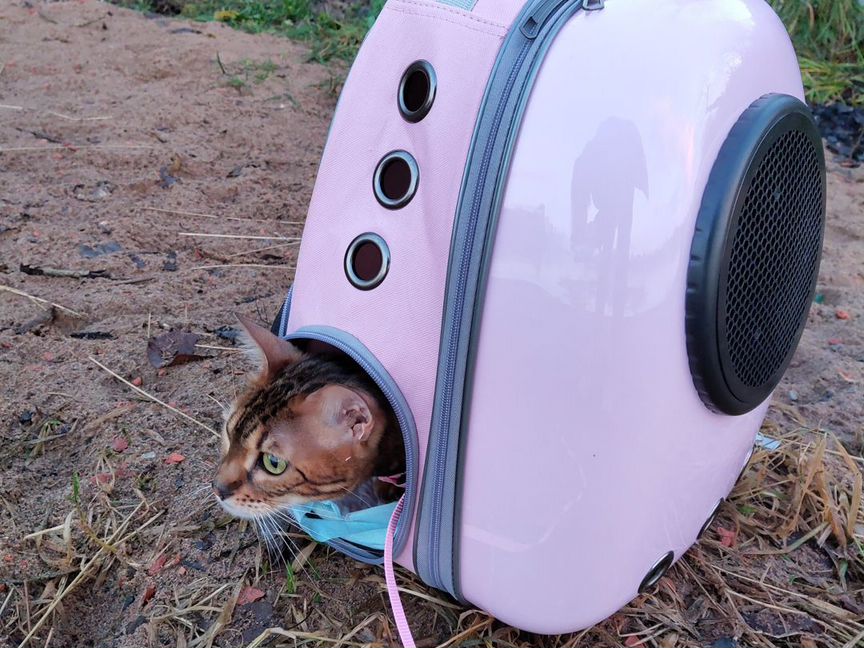 Рюкзак переноска с иллюминатором