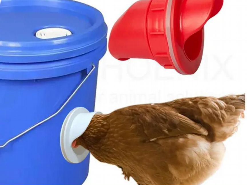 Кормушка для кур