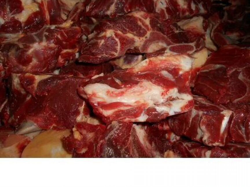 Мясо и кости для собак