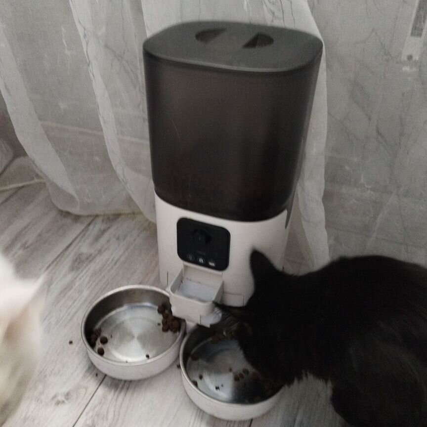 Автоматическая кормушка для кошек и собак
