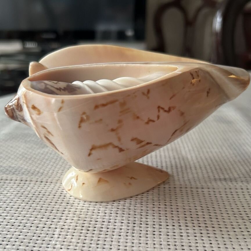 Ракушки в аквариум
