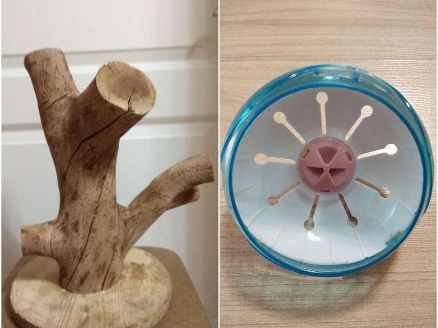 Кормушки, колёсико, ветка на подставке