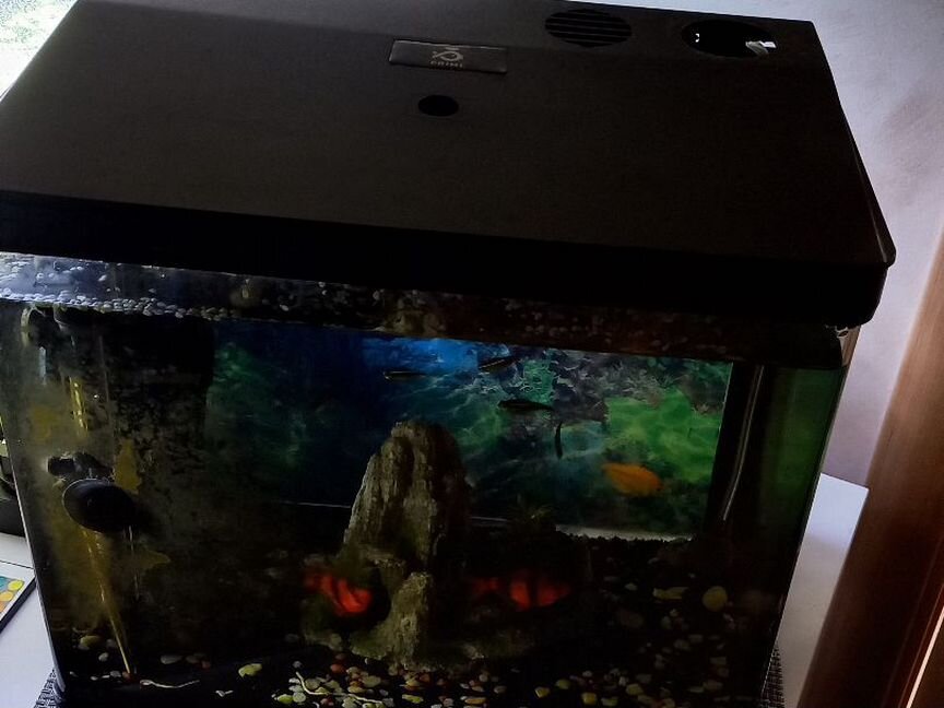 Аквариум и все для аквариума