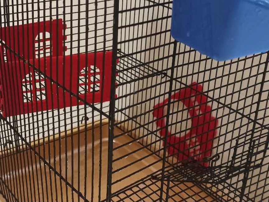 Клетка для грызунов бу