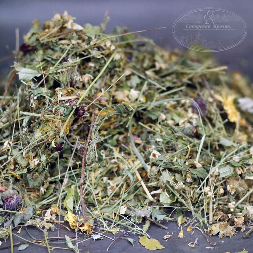 Погрызушки для грызунов