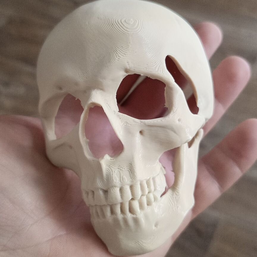 Череп для террариума