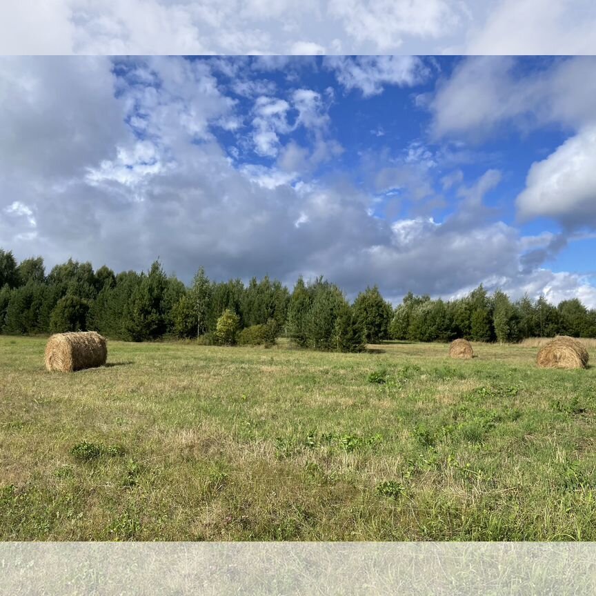 Сено тюки