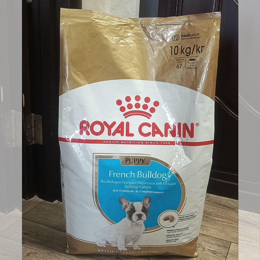 Royal canin" для щенков французского бульдога