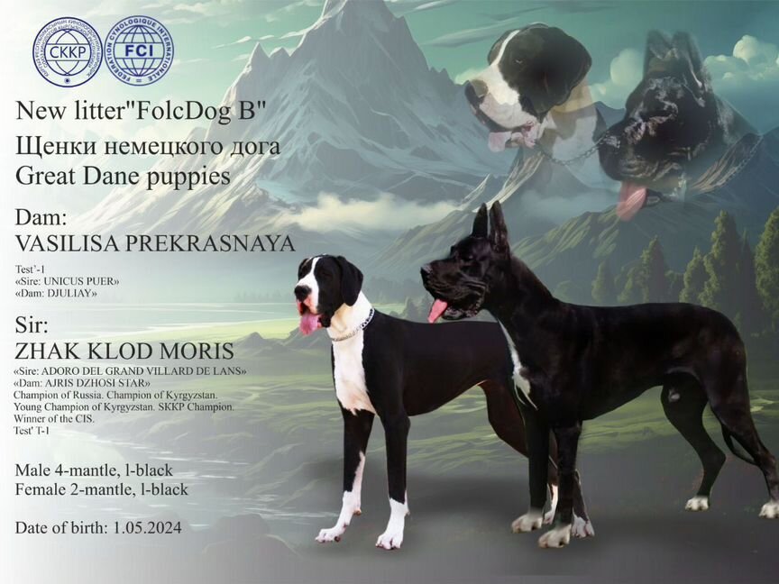 Немецкий дог