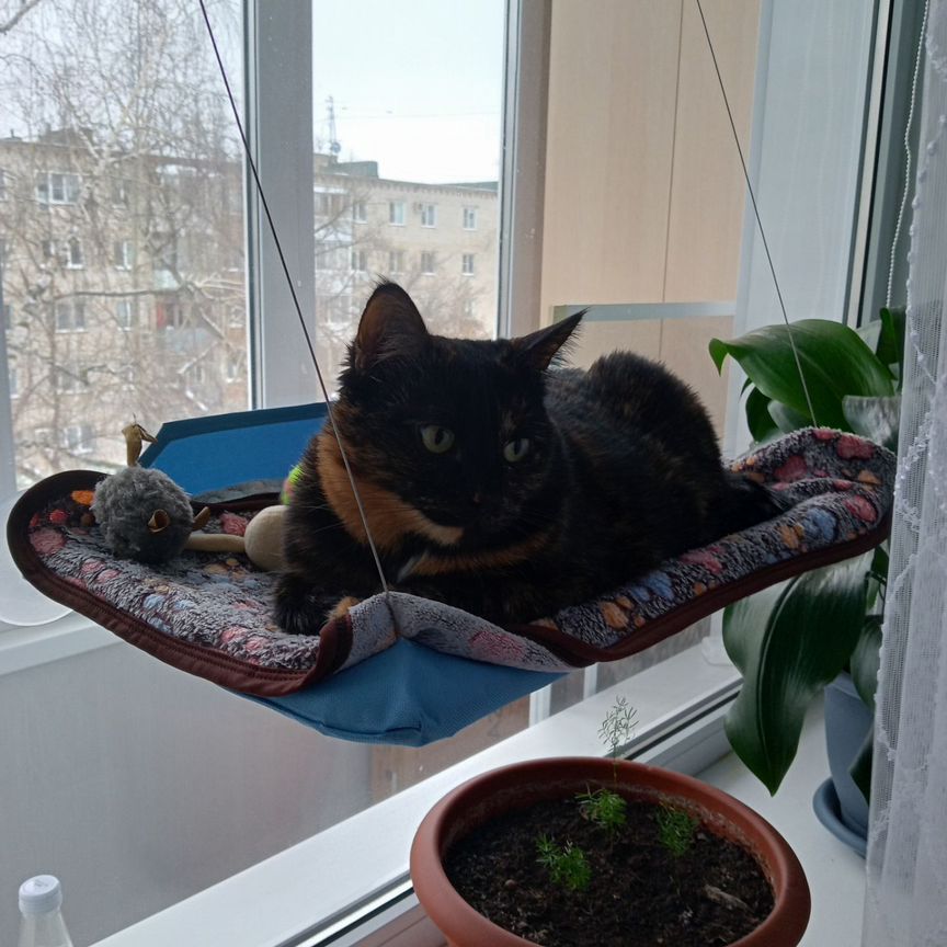 Гамак для кошек на окно