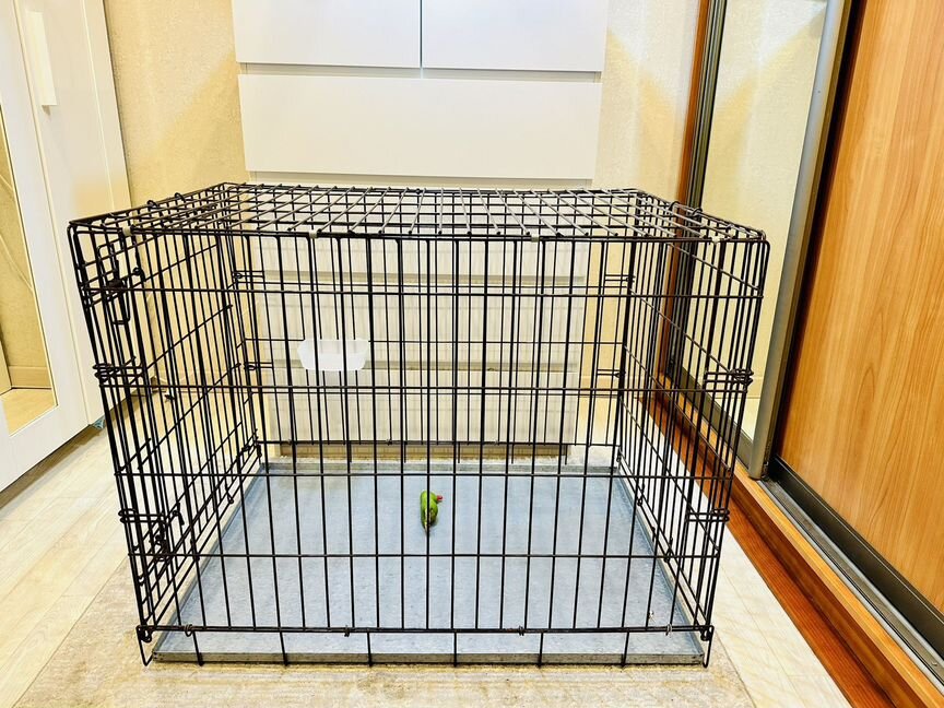 Клетка вольер для собак. 93х72х65
