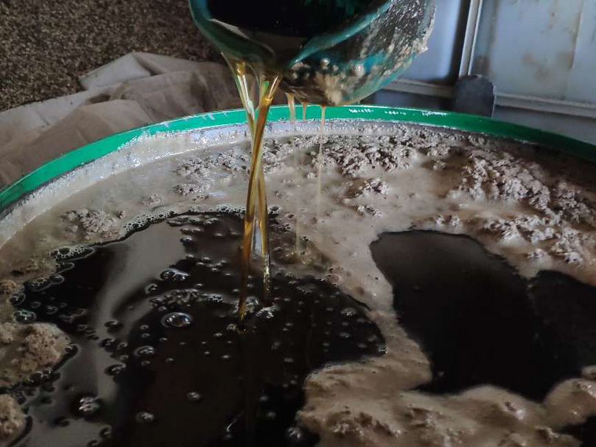 Фуз подсолнечный