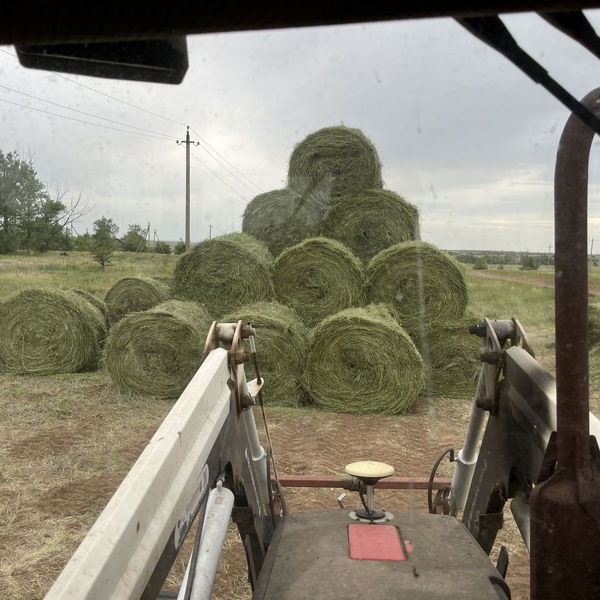 Сено люцерна в рулонах 2024