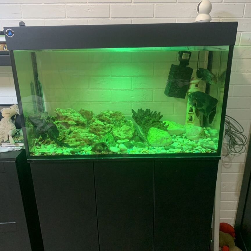 Продам аквариум с рыбками