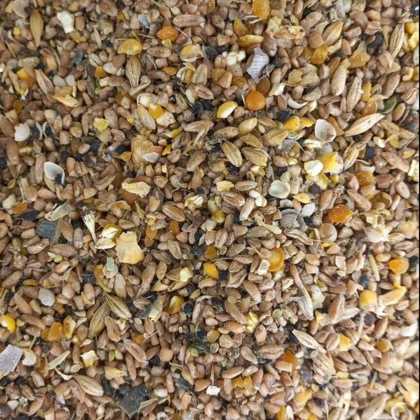 Корм для несушек