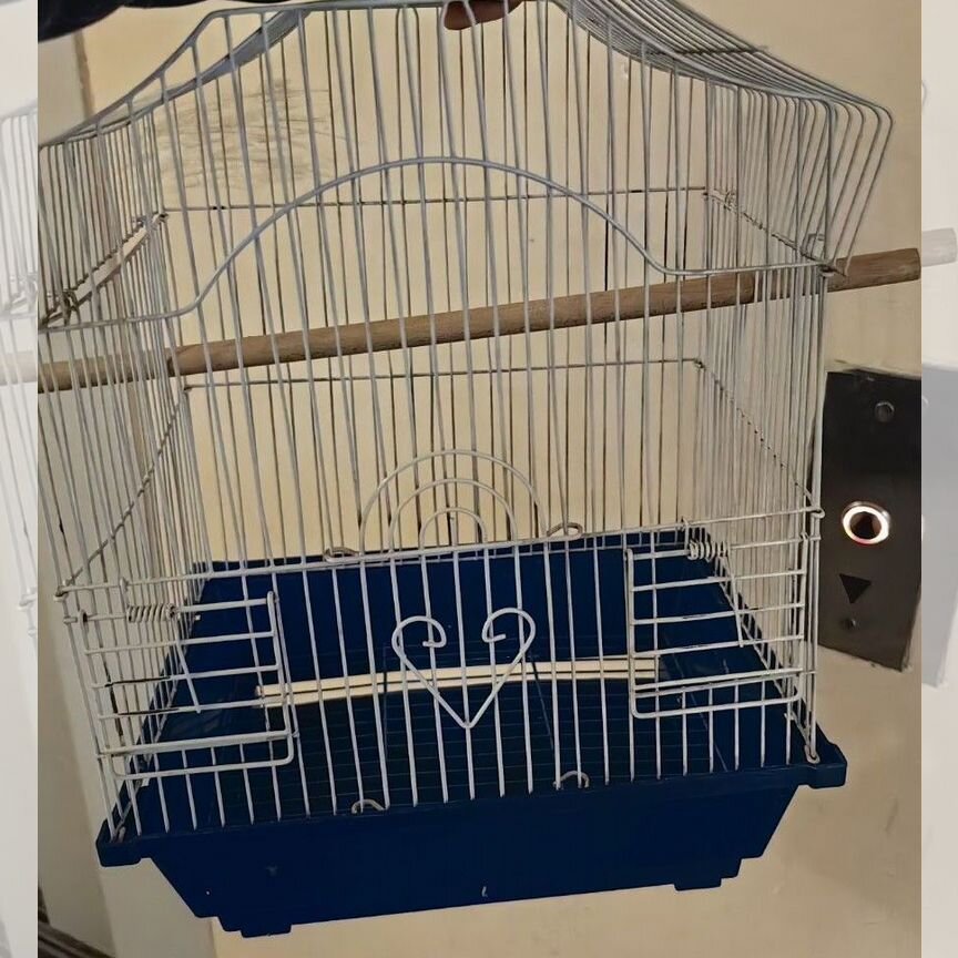 Клетка для попугая бу