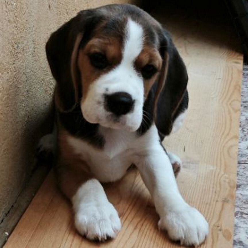 Открыто бронирование