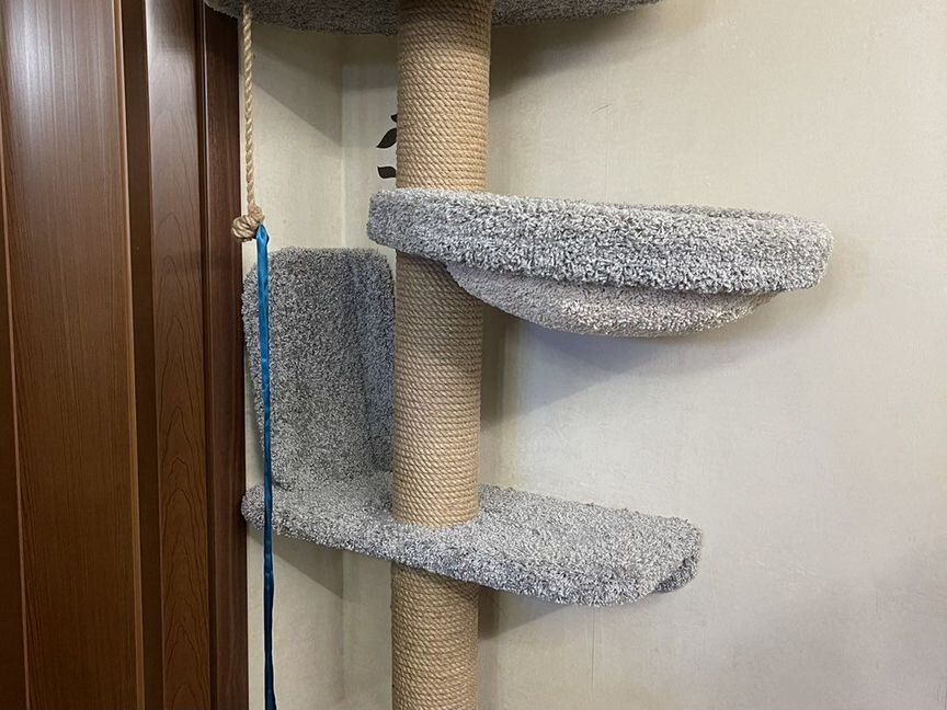 Когтеточка