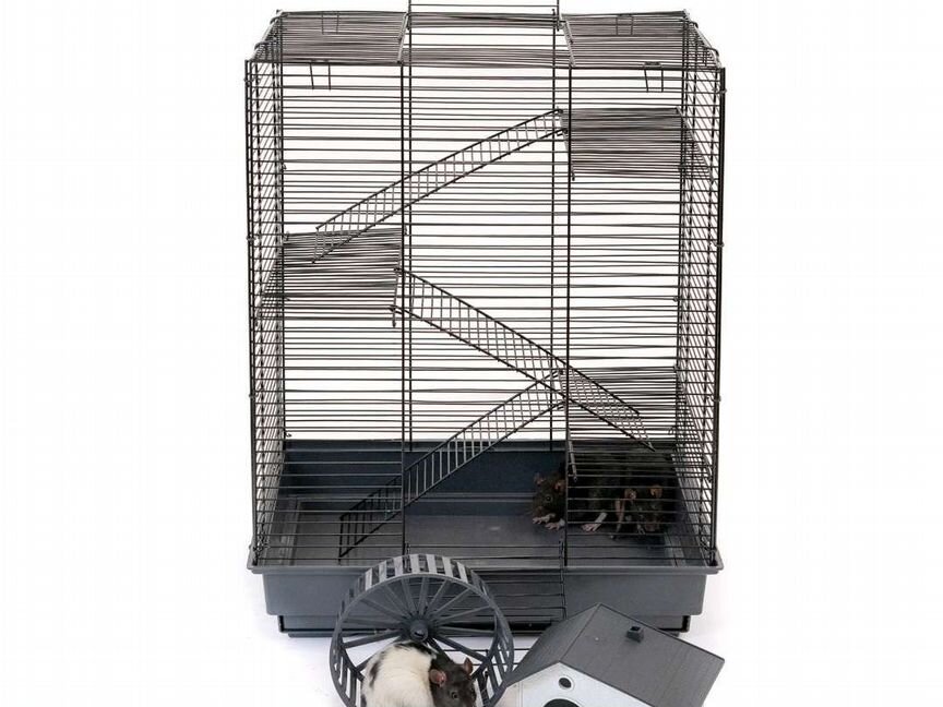 Клетка для грызунов большая