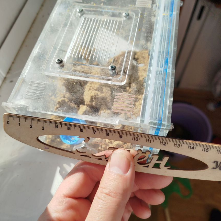 Формикарий