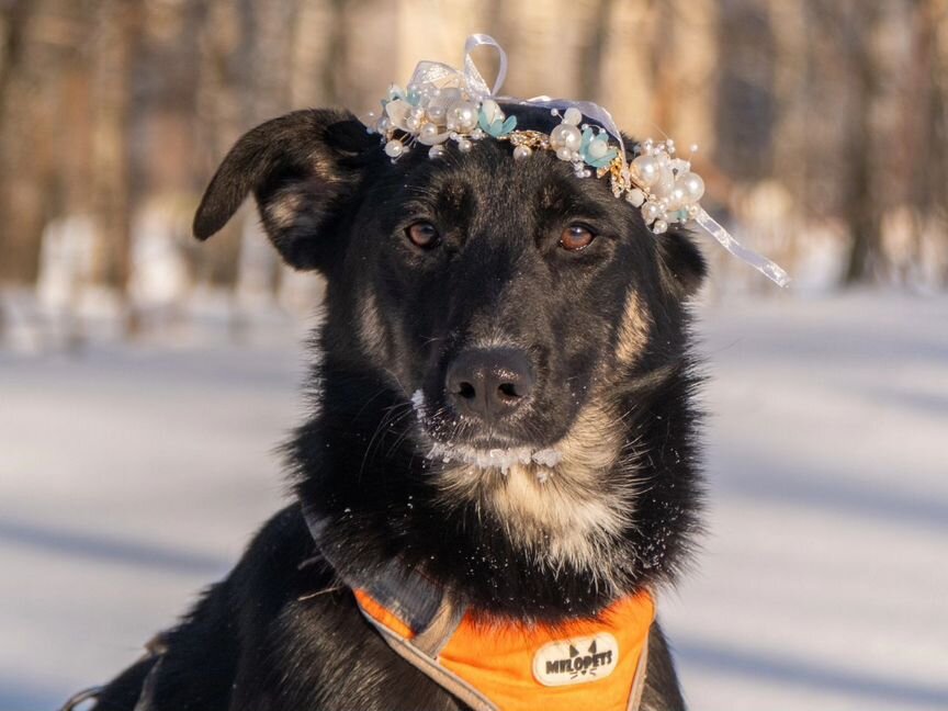 Малышка в приюте