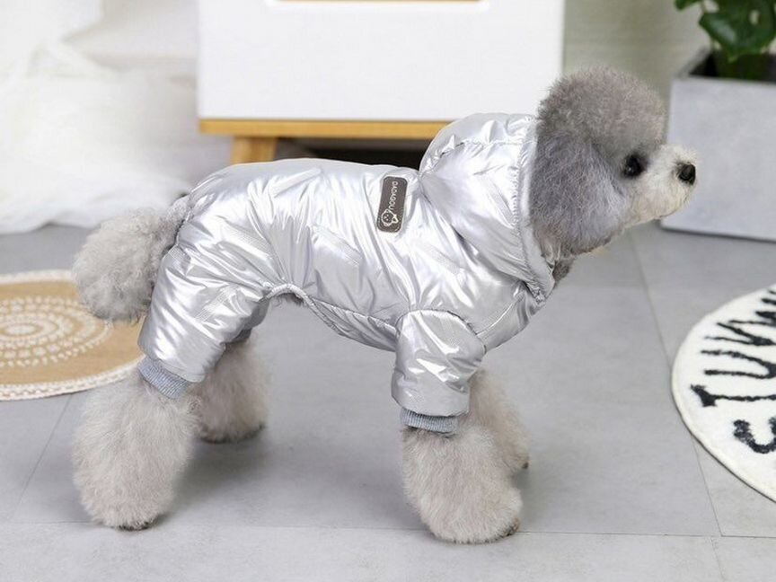 Комбинезон для собак серебристый