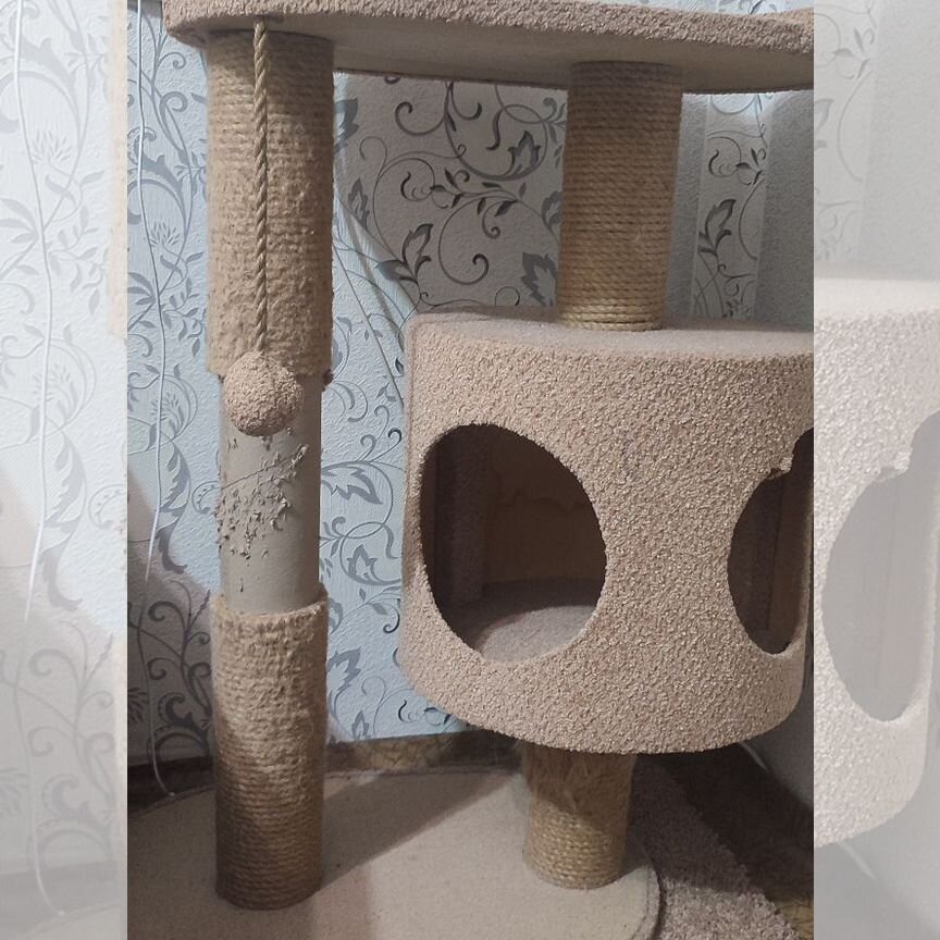 Когтеточка