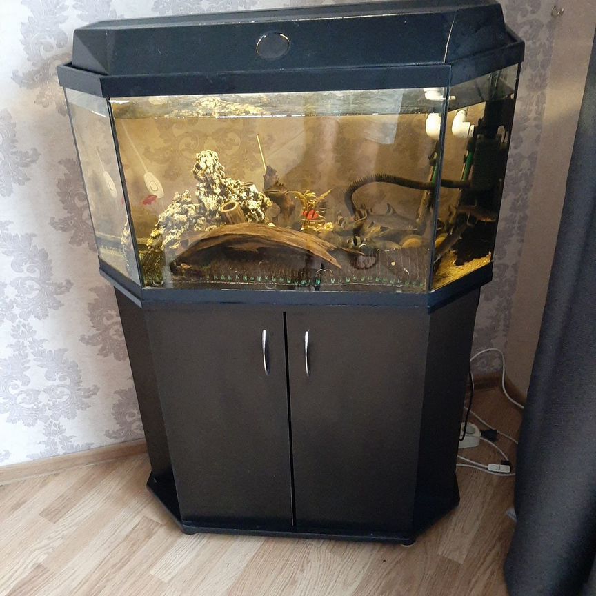 Аквариум с тумбой 100л нужен ремонт шва сверху