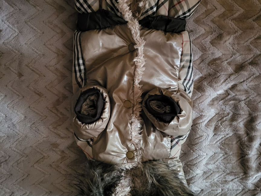 Товары для домашних животных