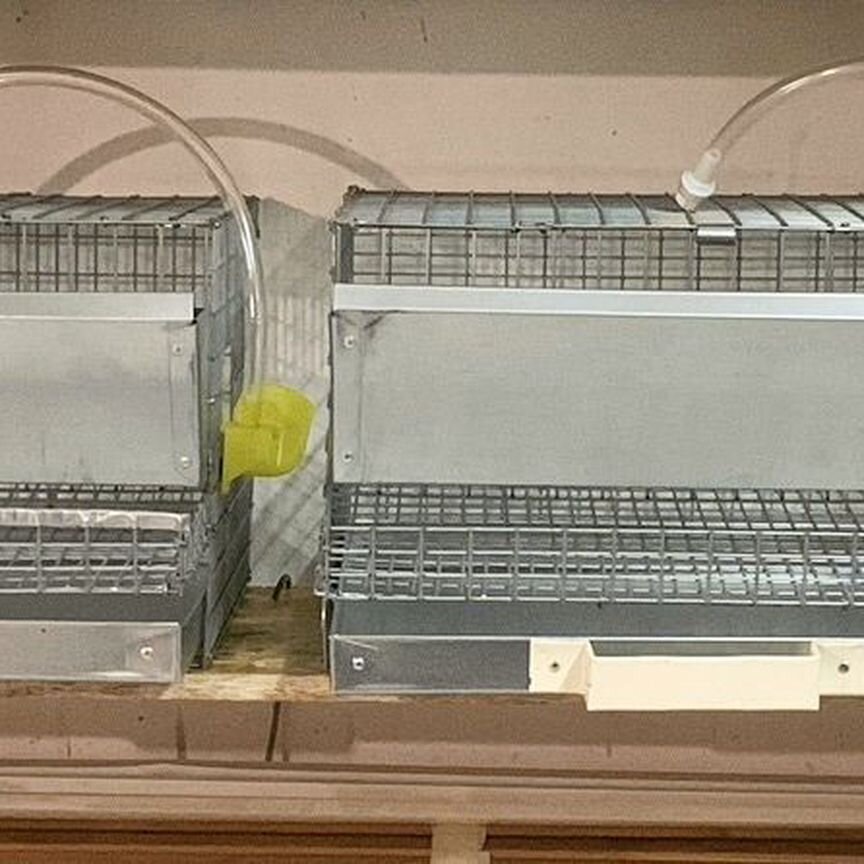 Сетка, поддоны, кормушка для перепелов