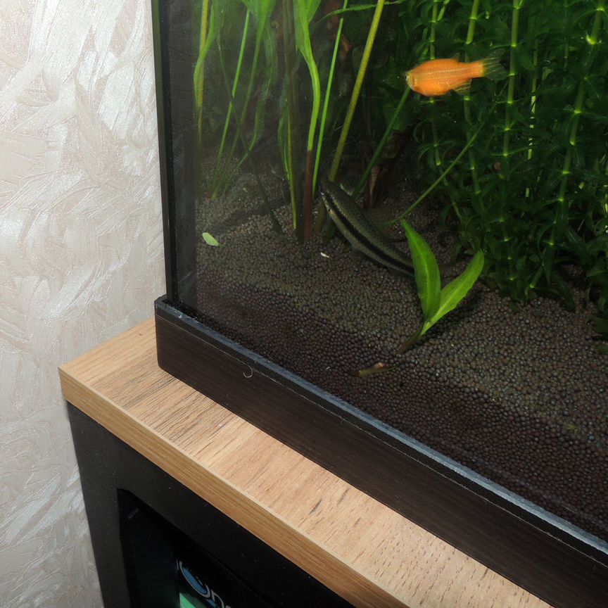 Рыбка водорослеед