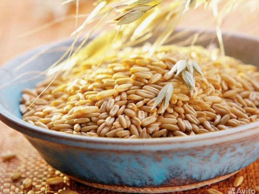 Зерно пшеница ячмень, дроблёный