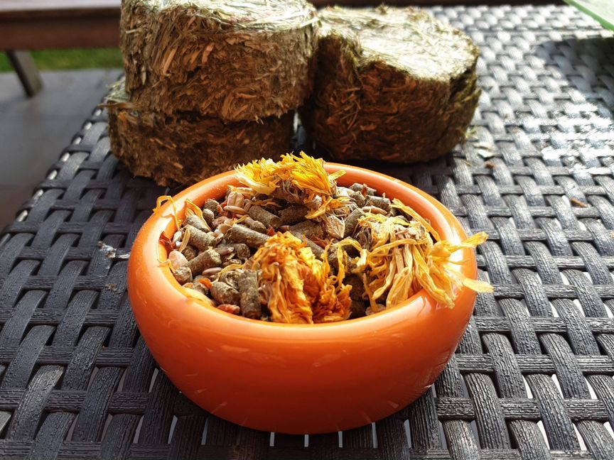 Жёлтые мюсли для морских свинок и др. корма