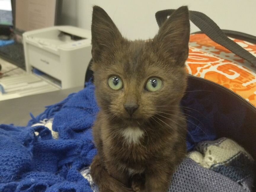 Выкинули на улицу