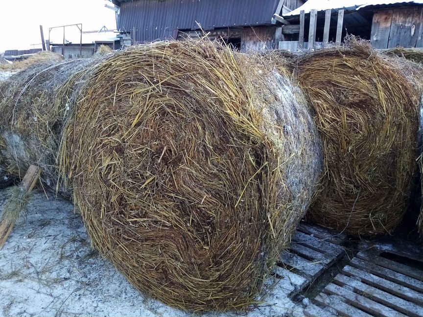 Солома в рулонах
