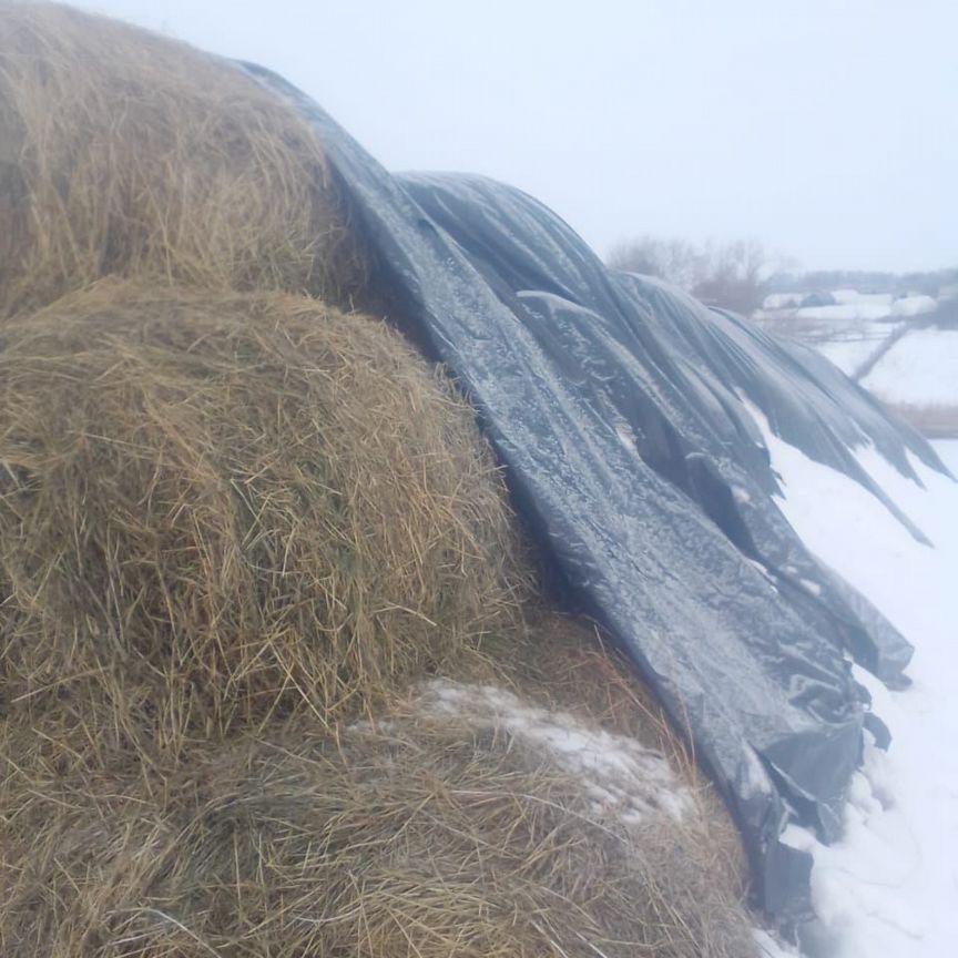 Сено люцерна и костёр