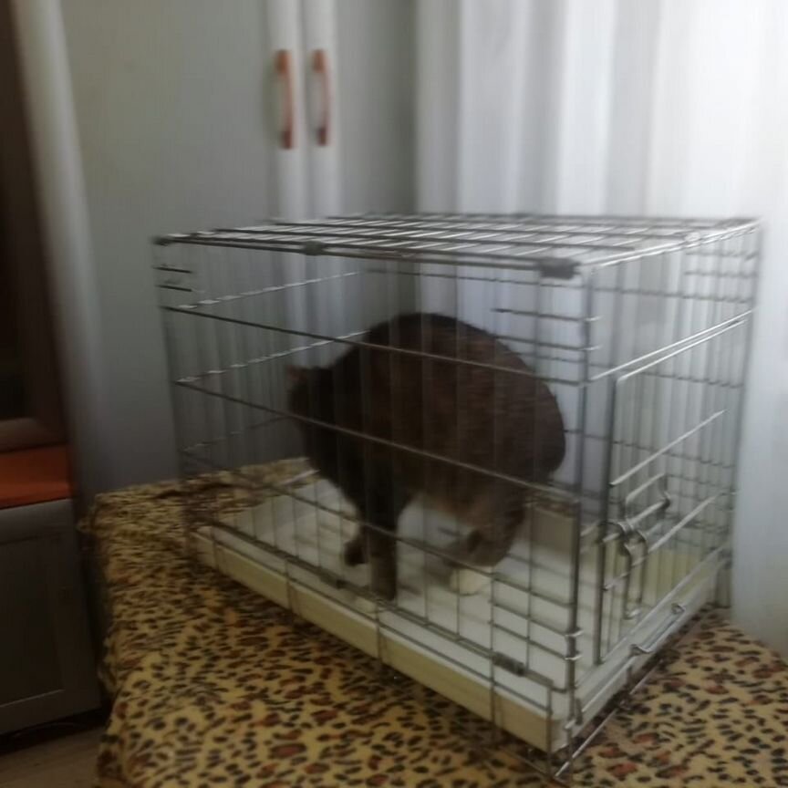 Клетка переноска для собак и кошек
