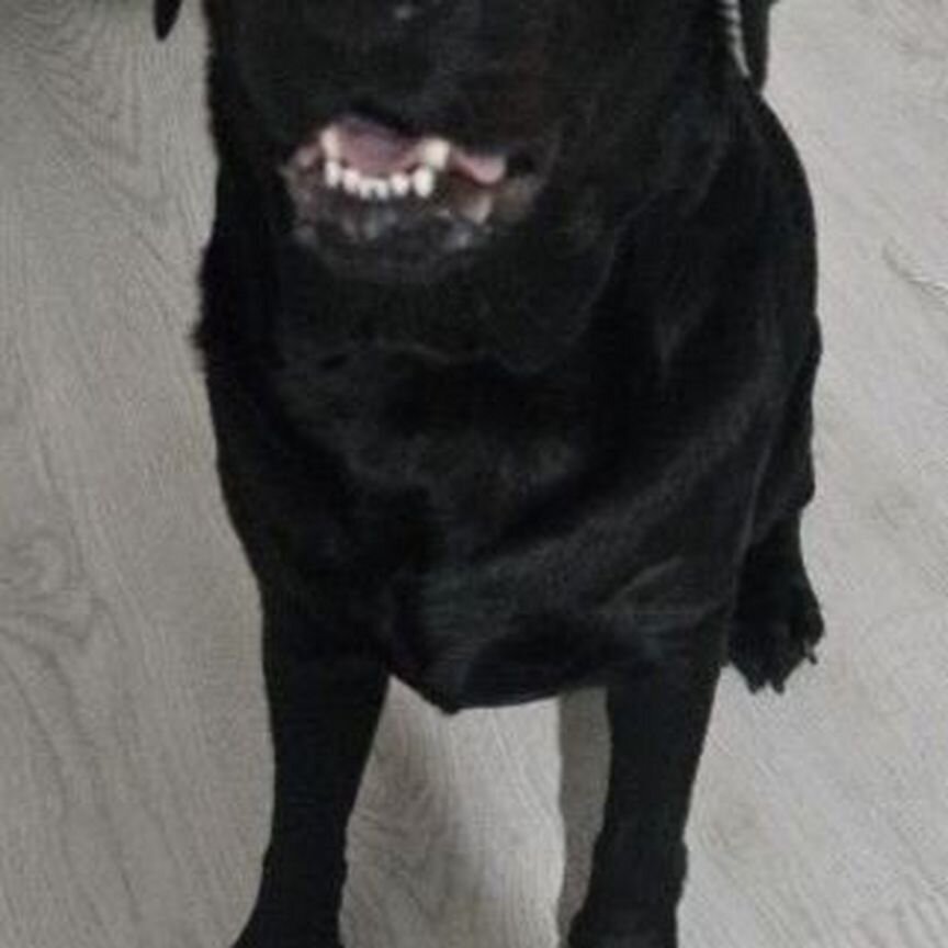 Мальчик ищет дом