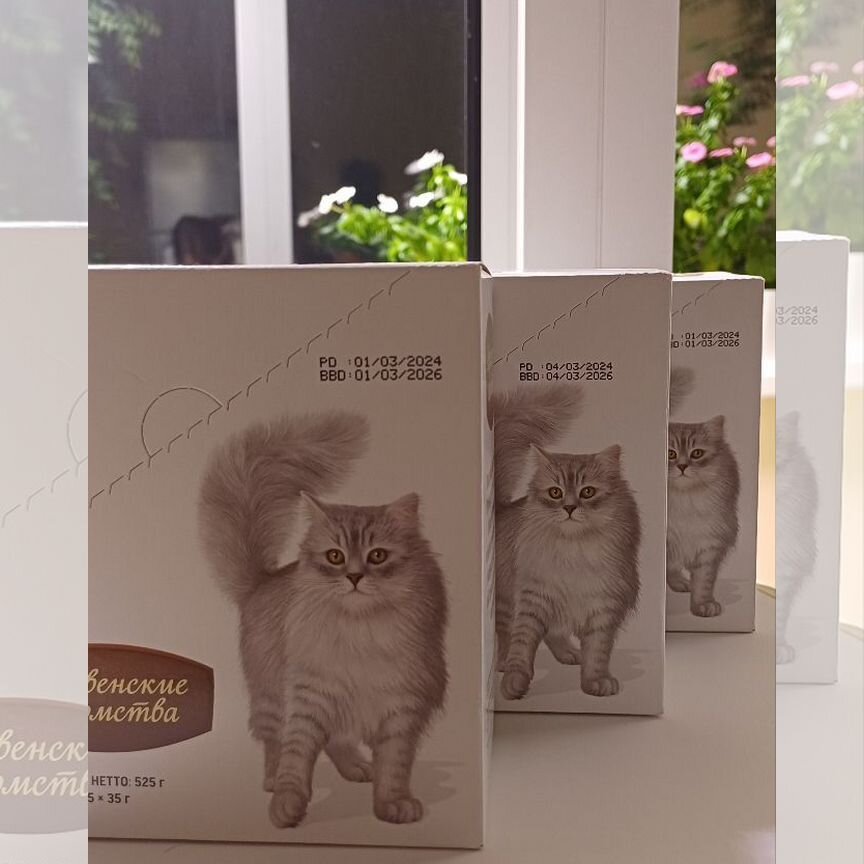 Корм для кошек